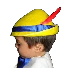 Jual Topi Pinokio Pinochio Hat Disney Pinocchio Hat Costume Kids Adult ...