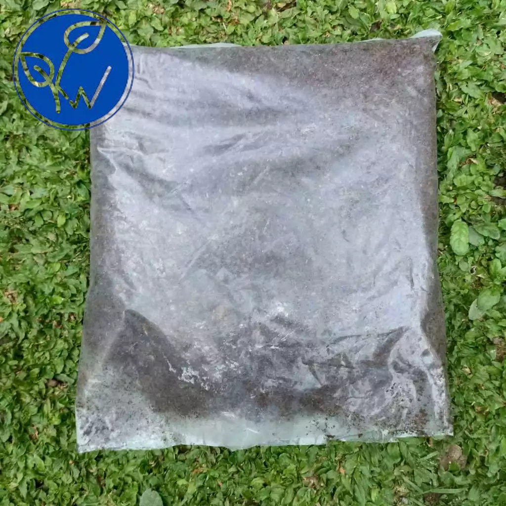 Jual Humus Daun Bambu Penyubur pelengkap Media Tanam berat 1000 gram ...