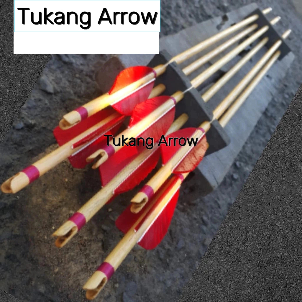 Jual Arrow kayu ramin vanes kalkun import 3inchi point besi bubut-6pcs ...
