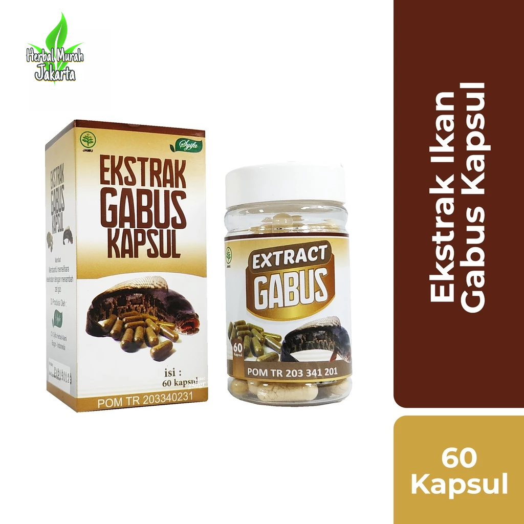 Jual Kapsul Ikan Gabus - Ekstrak Ikan Gabus Pasca Operasi Syifa 60 ...