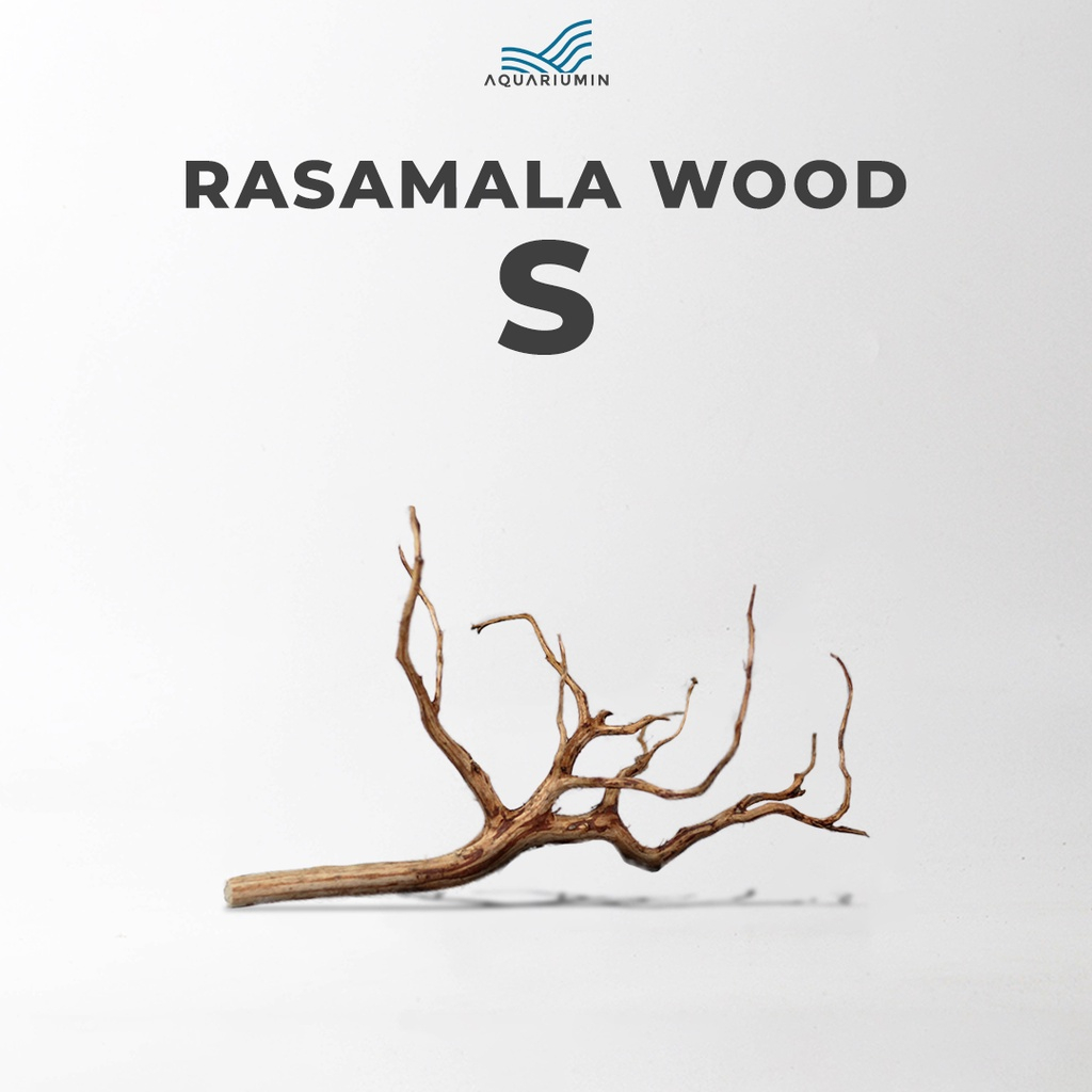 Jual Akar Kayu Rasamala Size S Aquascape | Shopee Indonesia