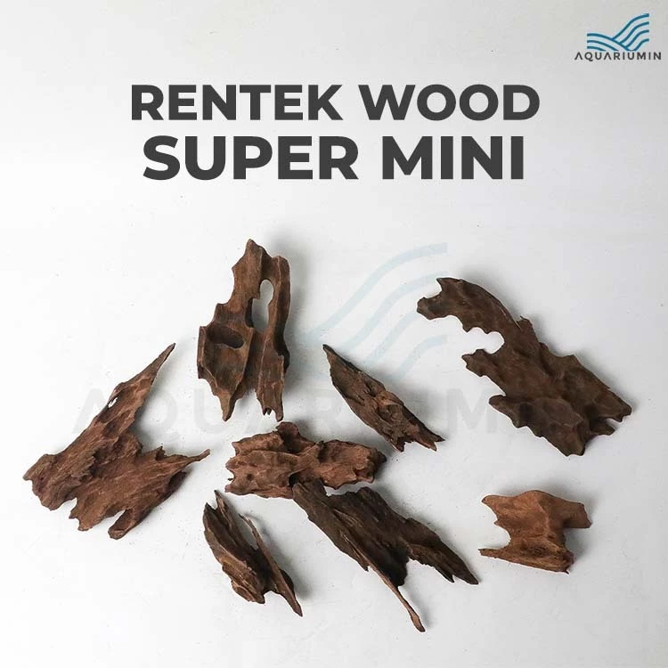 Jual Kayu Rentek / Rentek Wood Size Super Mini Detailing | Shopee Indonesia