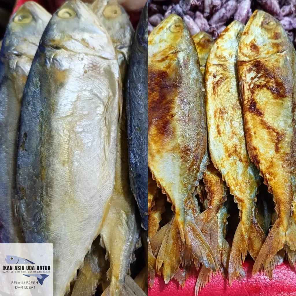 Jual IKAN PEDA PUTIH PEDA MERAH 1 Kg | Shopee Indonesia