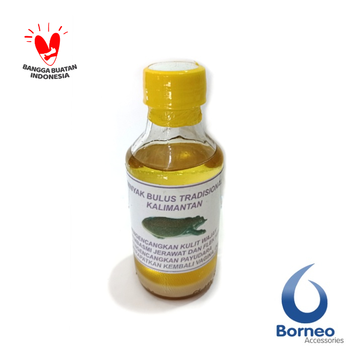 Jual Minyak Bulus Bidawang Kalimantan Original Ukuran Besar 150ml ...