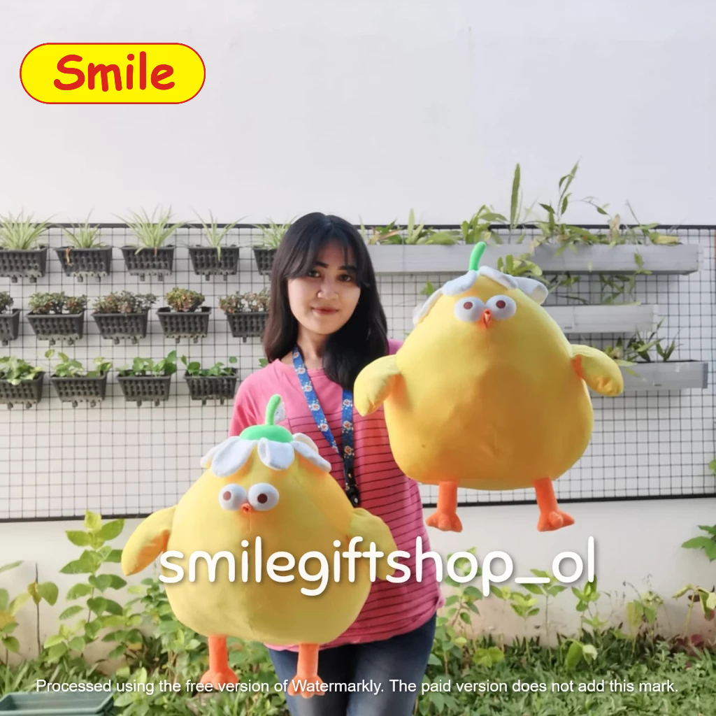 Jual Boneka Plush Toys Ayam Chicken Chubby Animal Binatang Pluffy Soft ...
