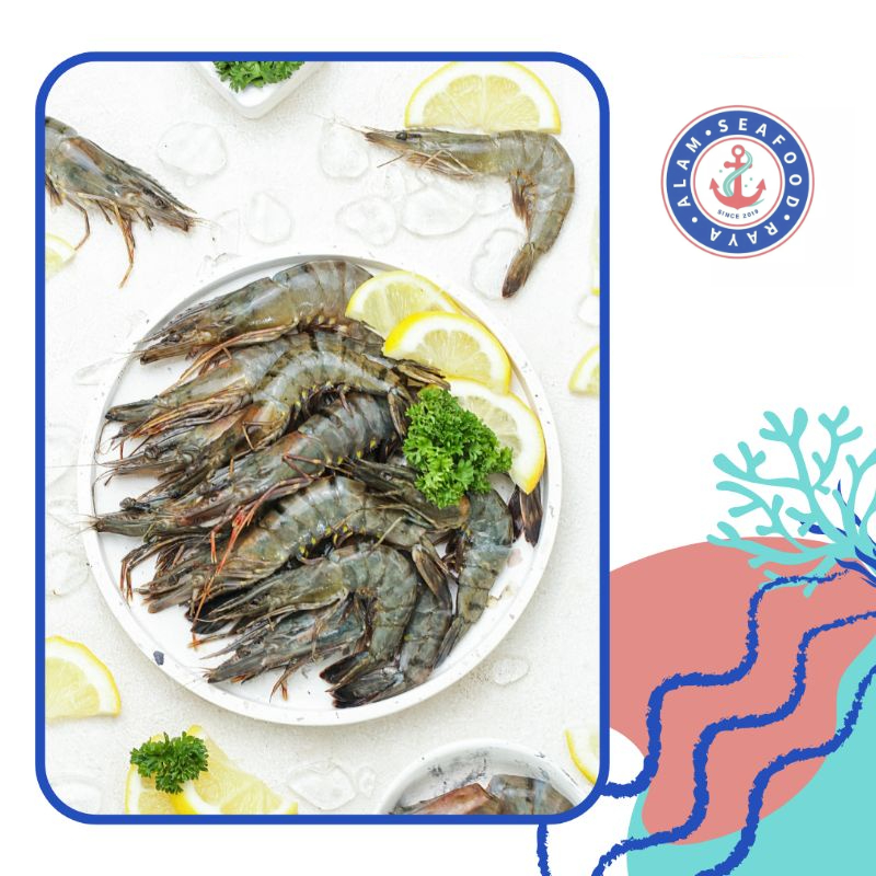 Jual Udang Windu/ Udang Black Tiger | Shopee Indonesia
