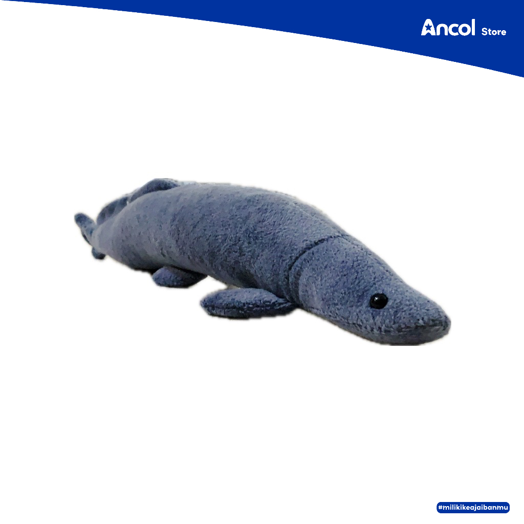 Jual Ancol Boneka Karakter Arapaima 20cm | Boneka Ikan Karakter Lucu ...