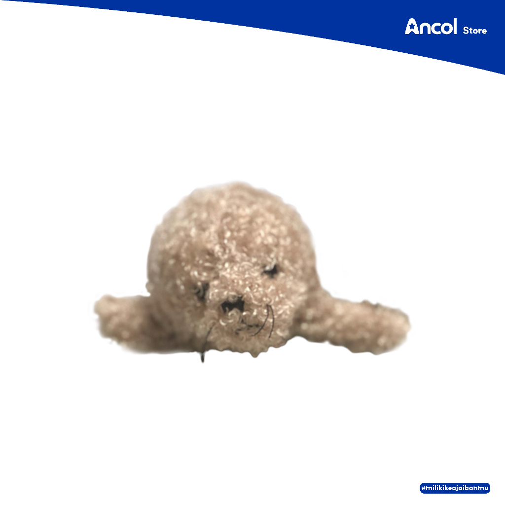 Jual Ancol Boneka Karakter Singa laut | Boneka Anak Monk Seal ...