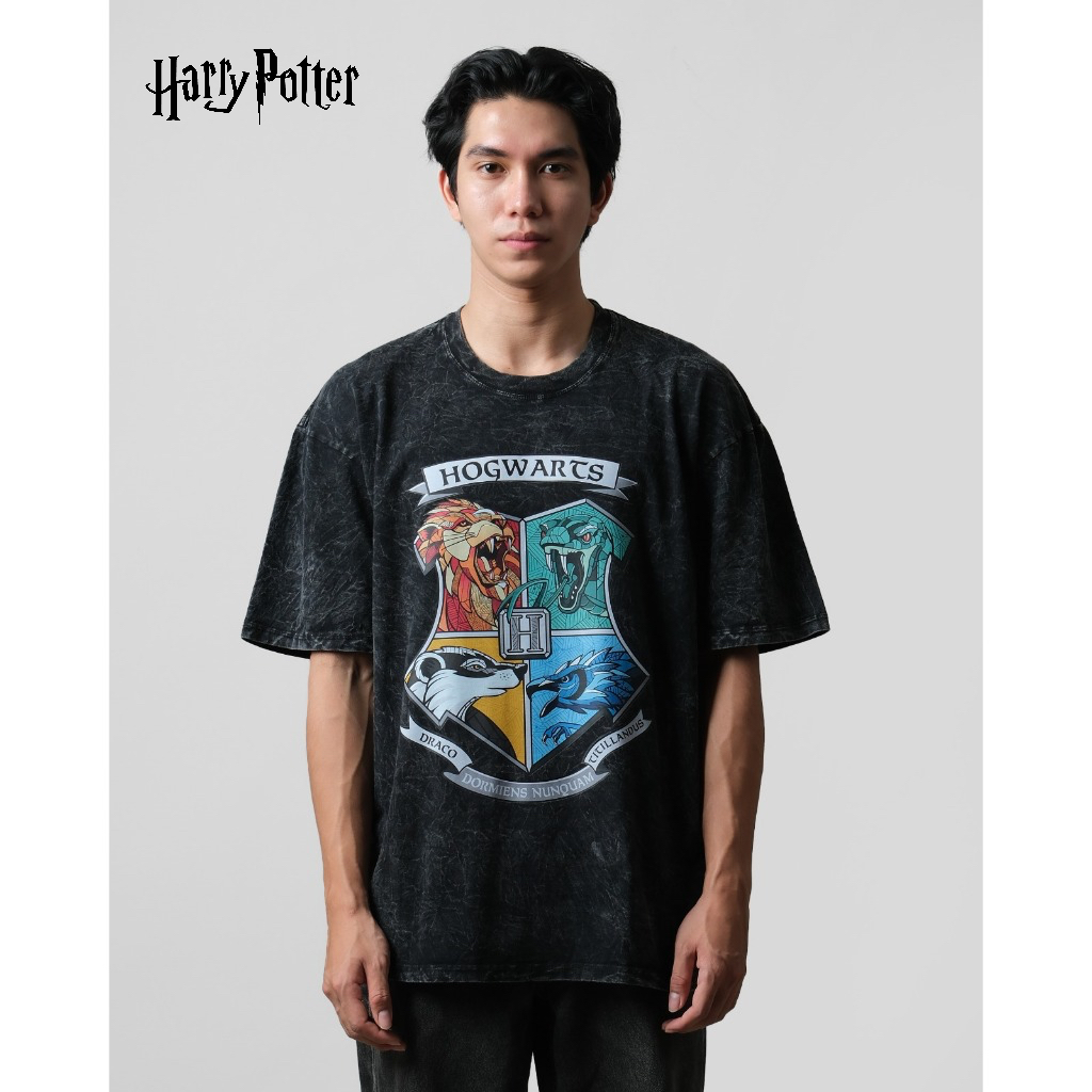 Jual Thesilversky Hogwarts Oversized Washed T-shirt | Official Harry ...