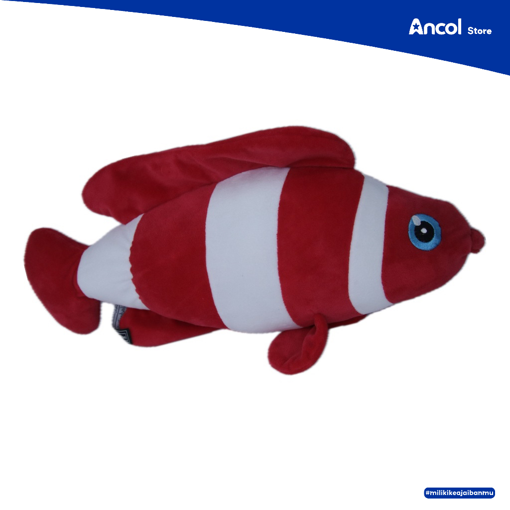Jual ANCOL BONEKA KARAKTER RED EMPEROR | IKAN BADUT MERAH | Official ...