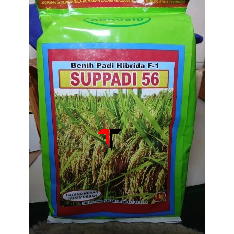 Jual PROMO TERBARU!!! Benih Padi Supadi SUPPADI 56 Hibrida F1 BISA (COD ...
