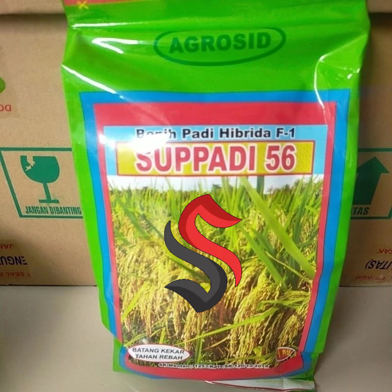 Jual SPESIAL PAKET HEMAT!!!=> Padi Hibrida Supadi 56 exp Juni 2025 ...