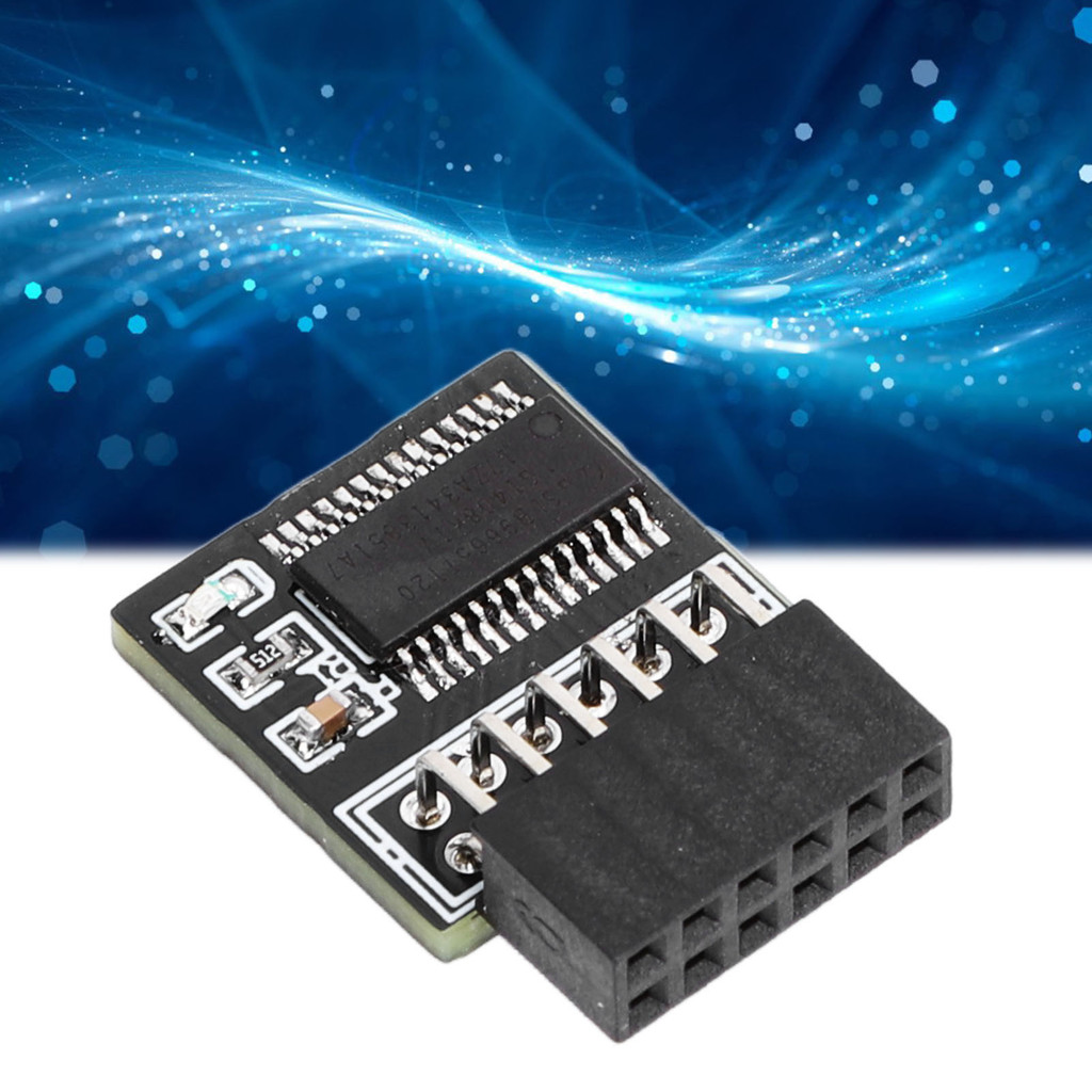 Jual TPM2.0 Module with for SLB9665 SPI Interface 12Pin Motherboard TPM Security Module for Win ...