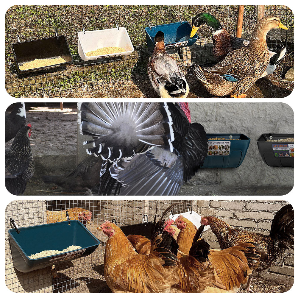 Jual Hanging Chicken Food Trough Easy Use Stable Support Chicken Feeder ...