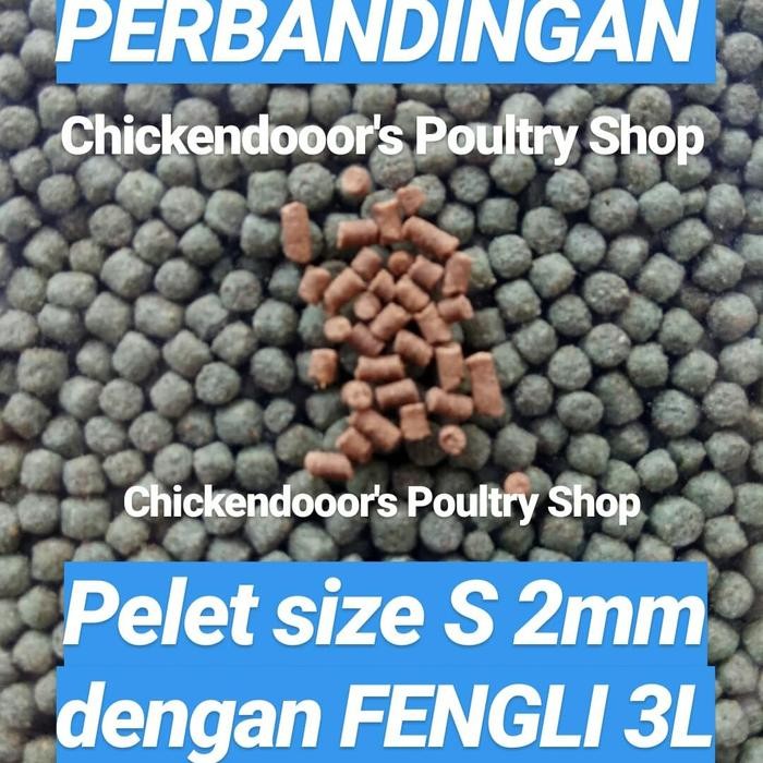 Jual FENGLI 3 FENG LI 3L PAKAN TENGGELAM PELET UDANG LOBSTER AIR TAWAR 1KG | Shopee Indonesia