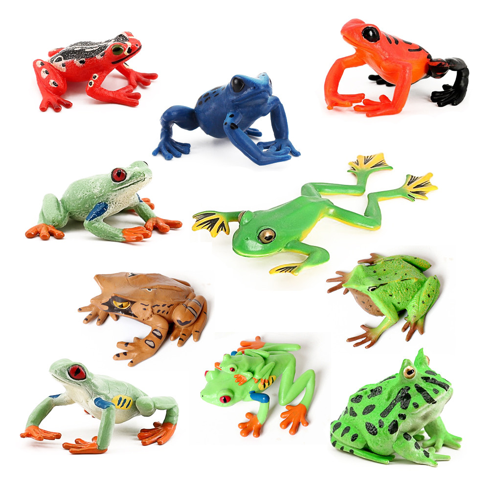 Jual Rainforest Animals Frogs Figurines Tree Frog Rana Bullfrog Squishy ...