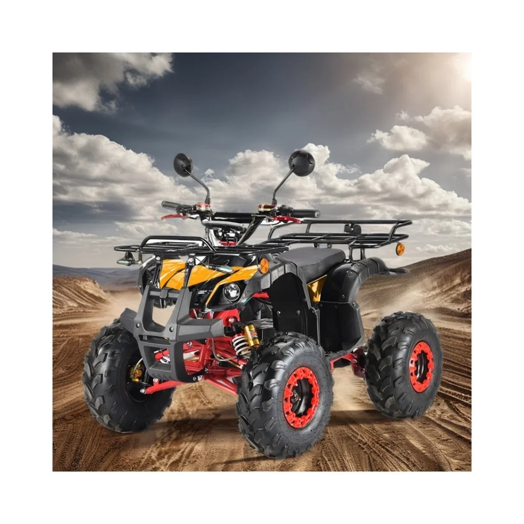 Jual Customization Big Power Atv Side By Side Beach ATV 3000w Mini ...