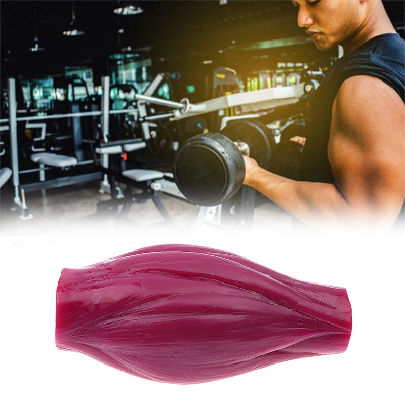 Jual Muscle Model Realistic Of Muscles Muscular Mannequin Human Anatomy ...