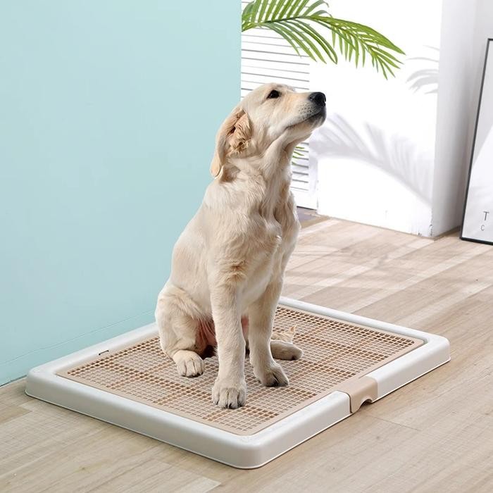 Jual Large Dog Toilet Mat Dog Stuff Indoor Litter Box Tray Labrador ...