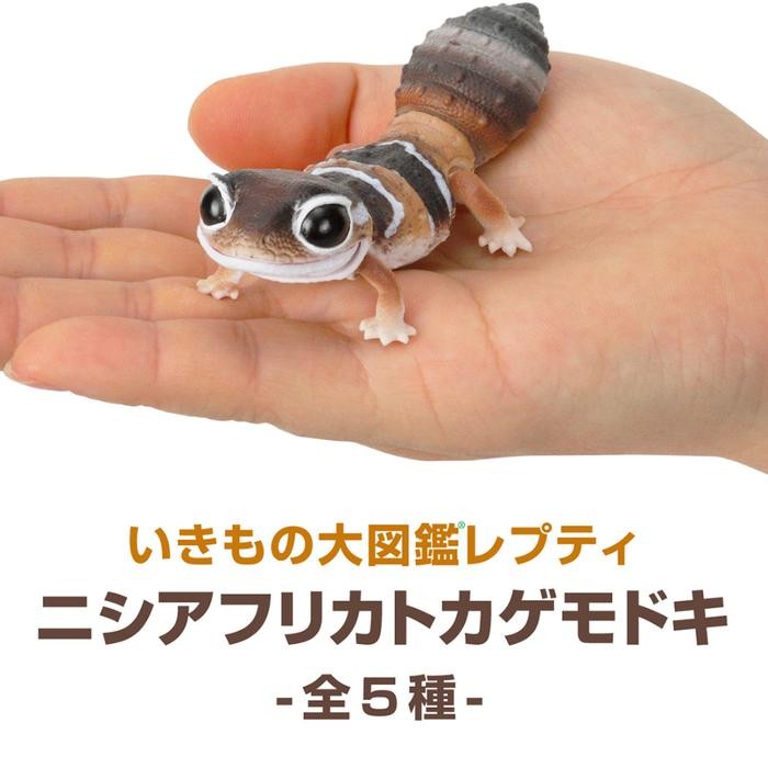 Jual Bandai ikimono Repti Western African lizard gecko figure kadal ...