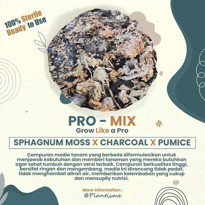 Jual Pro Mix Sphagnum Moss x Arang x Pumice Media Tanam Campuran Porous ...