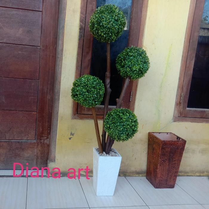 Jual Bonsai Daun Bola Bola#Pohon Bola Bola#Pohon Eucalyptus#Pohon Palsu ...