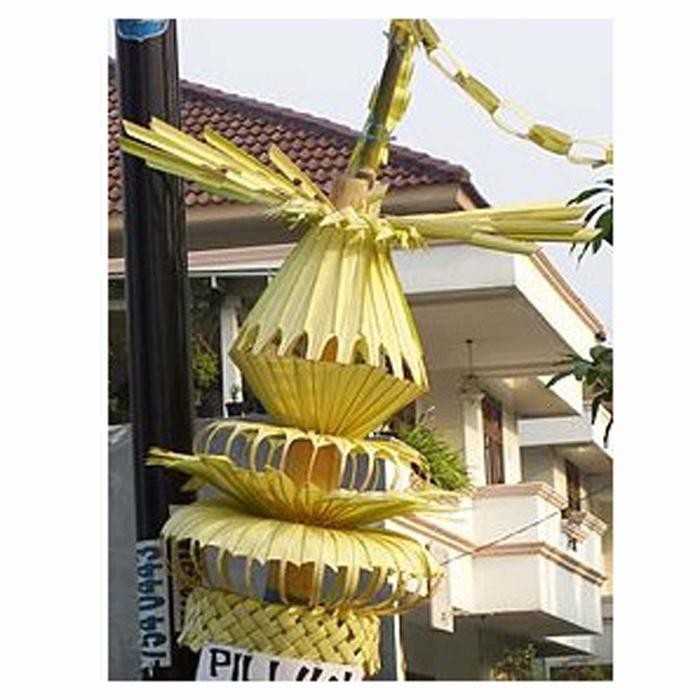 Jual janur kuning pernikahan resepsi | Shopee Indonesia