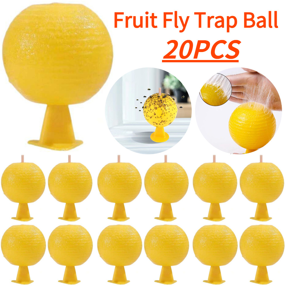 Jual Sticky Sphere Plastic Fruit Fly Trap Killer Drosophila Trap Flying ...