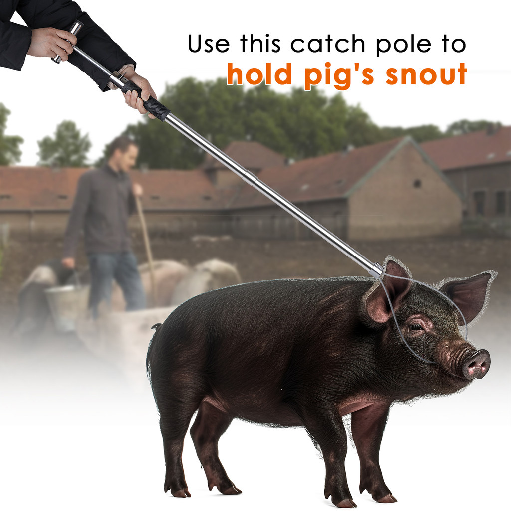 Jual New Stainless Steel Thickness Wire Rope Pig Catcher Pole Long ...
