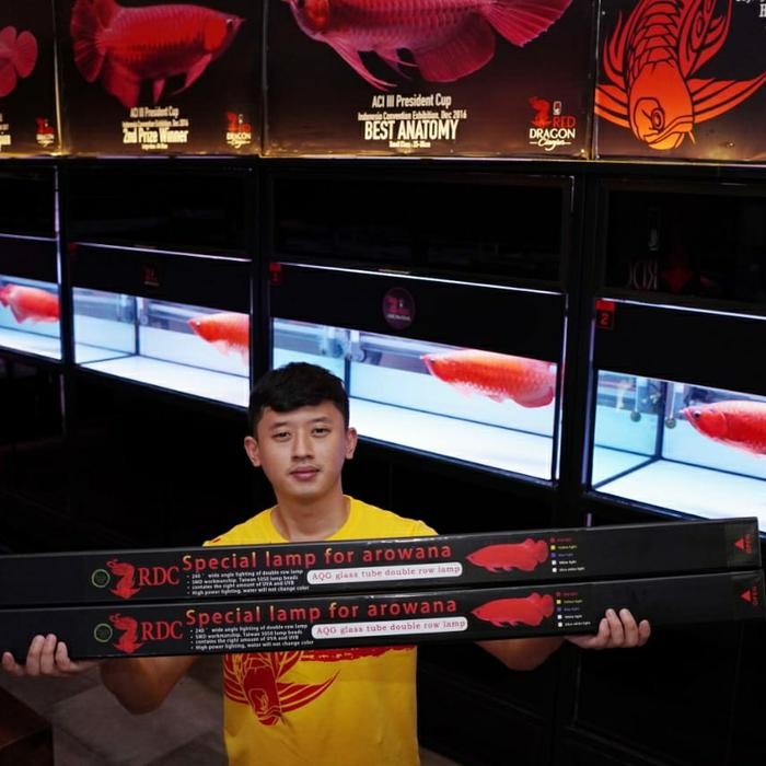 Jual Lampu Led RDC Arwana Super Red ( 93cm ) | Shopee Indonesia