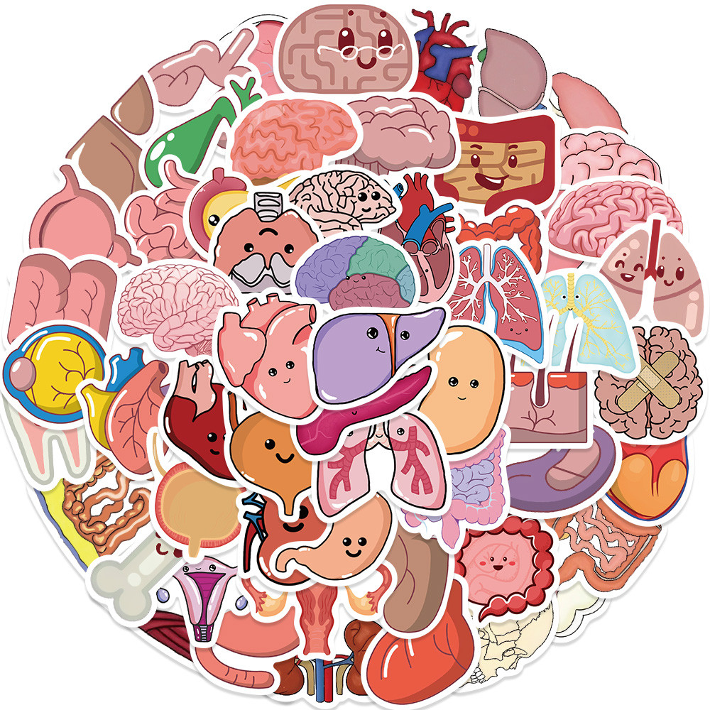 Jual 65Pcs Cartoon Human Body Organ Stickers Waterproof Sticker Anatomy ...