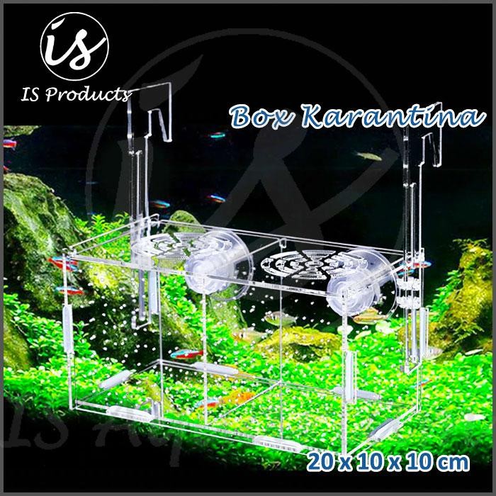 Jual BOX KARANTINA IKAN BESAR QUARANTINE BOX AKLAMASI ACRYLIC V2 ...