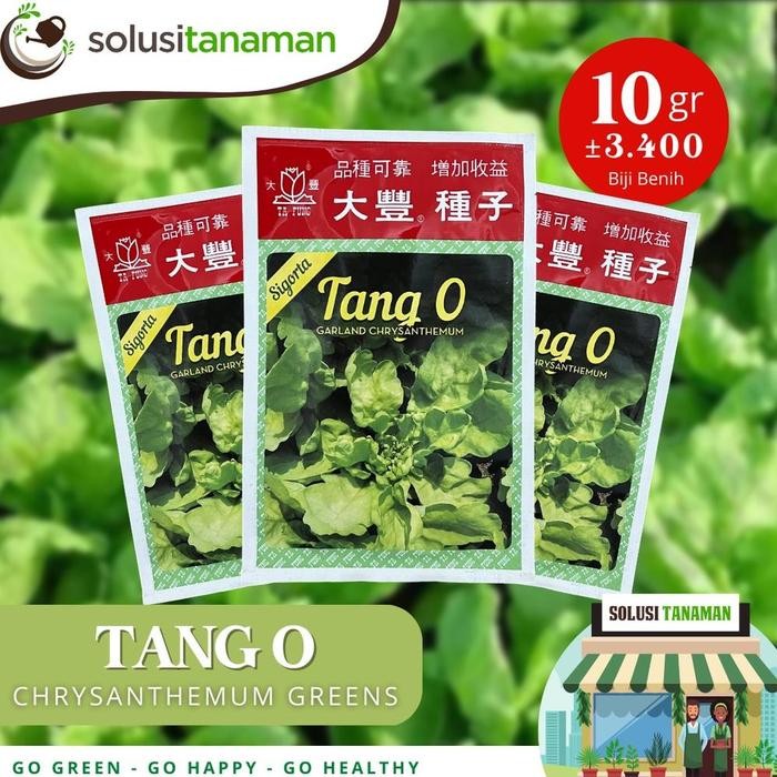 Jual Benih Tang O Sigorta 10gr (3.400 Biji) Bibit TangO Ta Fung Benih ...