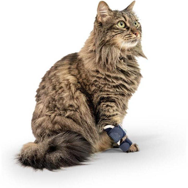 Jual Splint Carpal Hyperextension Dog Brace ,Supports Fractures and ...