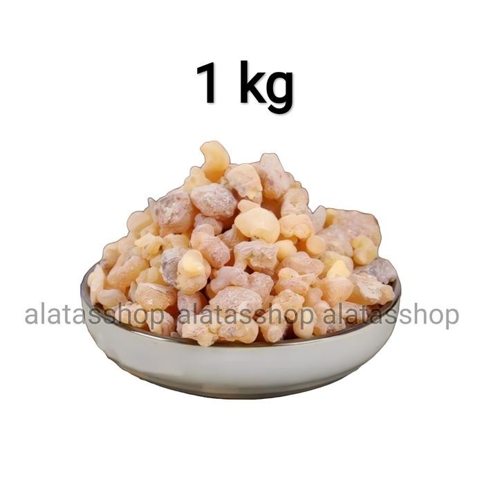 Jual luban mustaqi arab 1kg original kemenyan arab asli frankincense ...