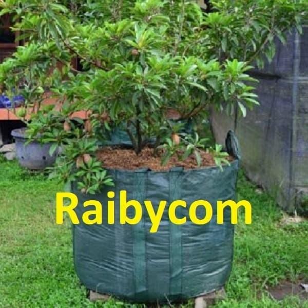 Jual Planter Bag 500 Liter Easy Grow Jumbo Planterbag Pohon Buah Besar ...