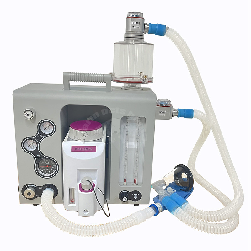 Jual Portable Anesthesia Machine Vet Animal Pet Dog Cat Medical ...