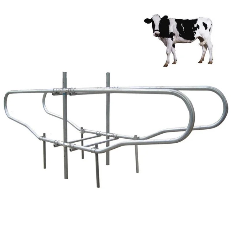 Jual BEST Portable Cow Cubicles Hot Dip Galvanized Cattle Livestock ...
