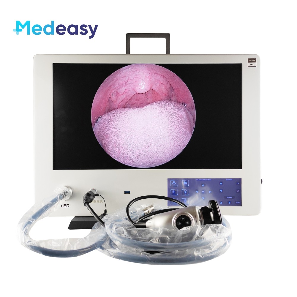 Jual BEST SELLER 19 Inch/24 Inch 3 in 1 Endoscope HD Camera with 100W ...