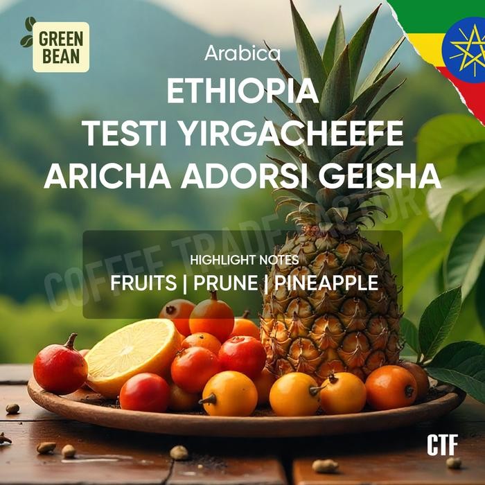 Jual Green Bean Arabica Ethiopia Testi Yirgacheffe Aricha Adorsi Geisha ...