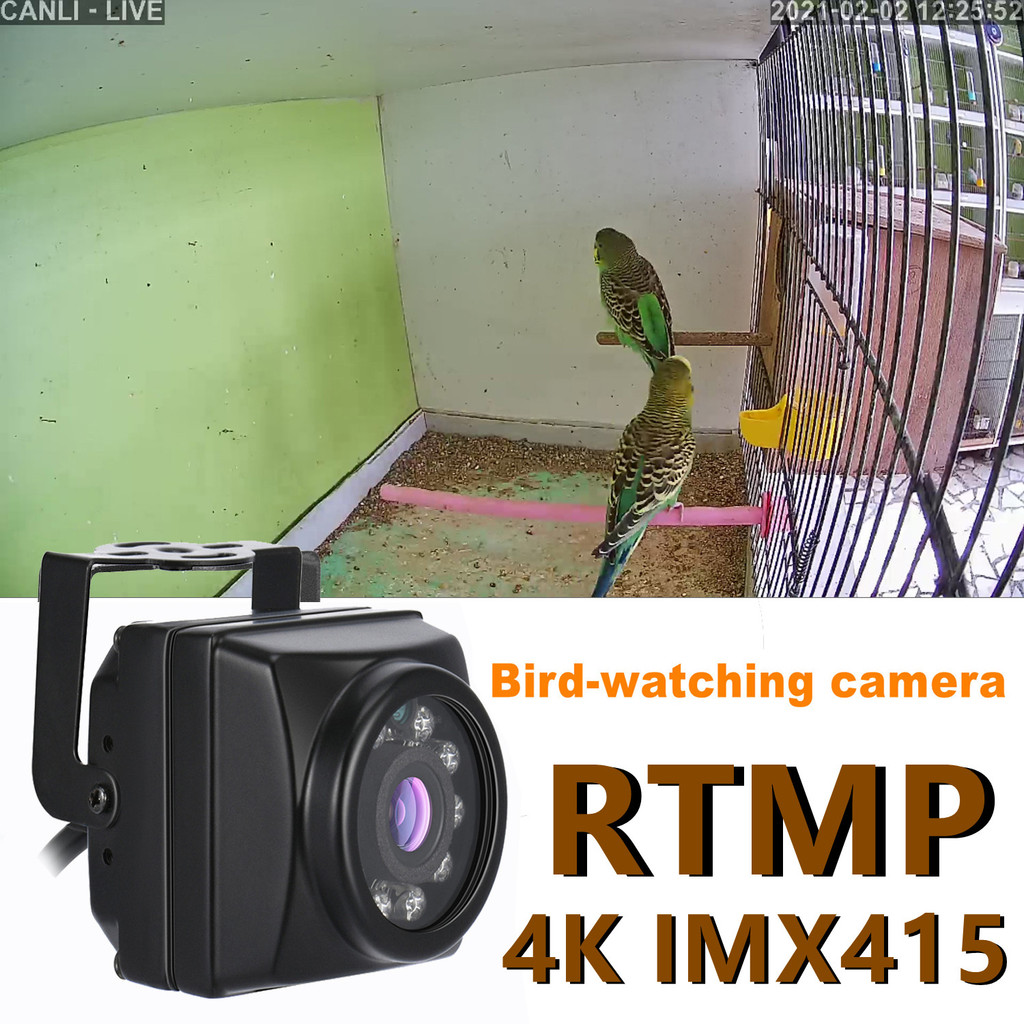 Jual Poe 30Fps 4K Rtmp Encoder 4K Bird Box Camera Birdcage 8Mp Night Vision Outdoor Mini Ip ...