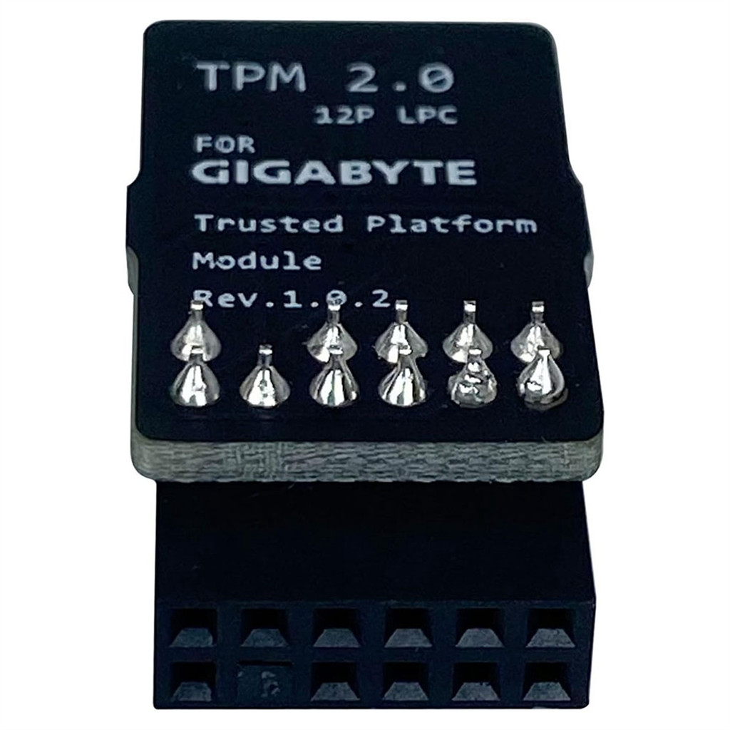 Jual TPM2.0 Module LPC 12Pin Module with Infineon SLB9665 Windows 11 ...