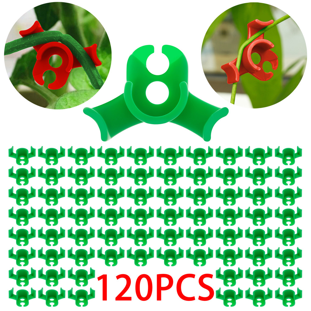 Jual 120Pcs 90 Degree Plant Bender Clips Branch Stem Growth Trainer ...