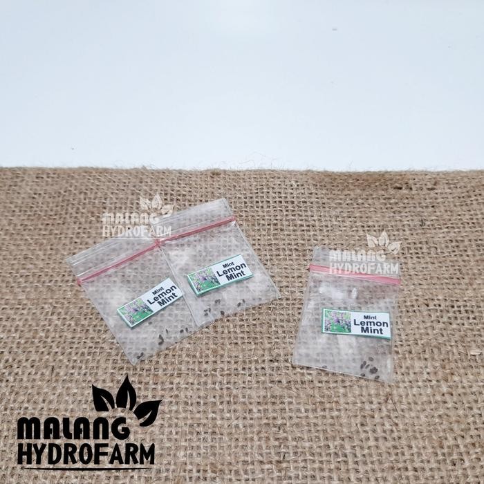Jual Tn Benih Mint Lemonmint Unggulan Berkualitas Biji Daun Min Herbal ...