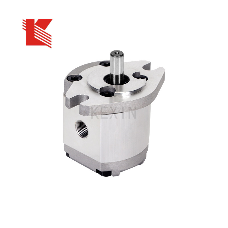 Jual small displacement gear pump mini hydraulic pump | Shopee Indonesia