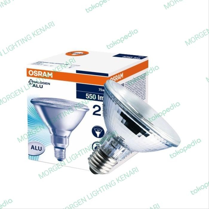Jual LAMPU PEMANAS CHICKEN KENTAKI OSRAM 75W PAR30 75 WATT OSRAM ...
