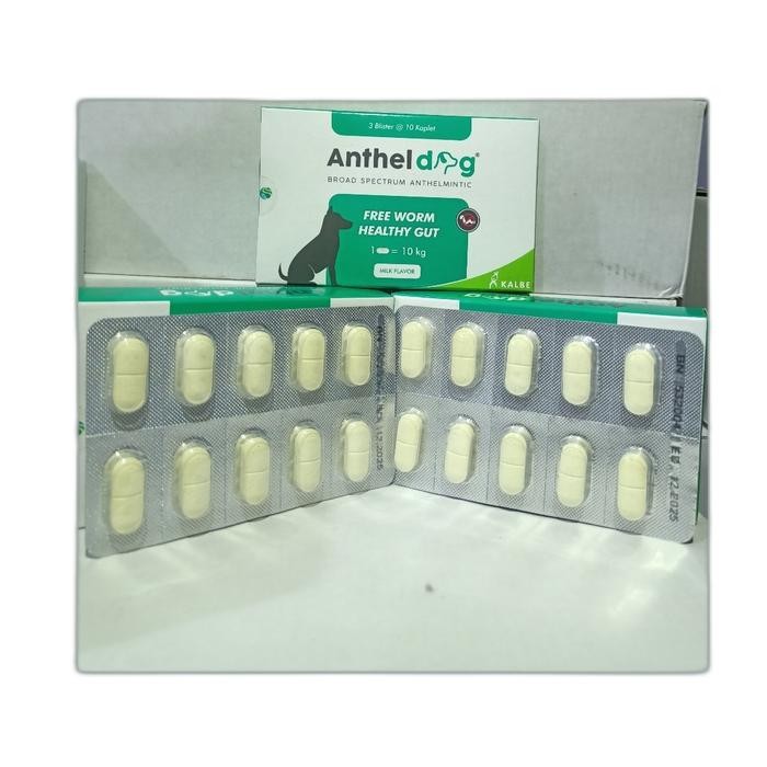 Jual Pilihan- Anthel Dog Obat Cacing 1 Dus Isi 30 Tab | Shopee Indonesia