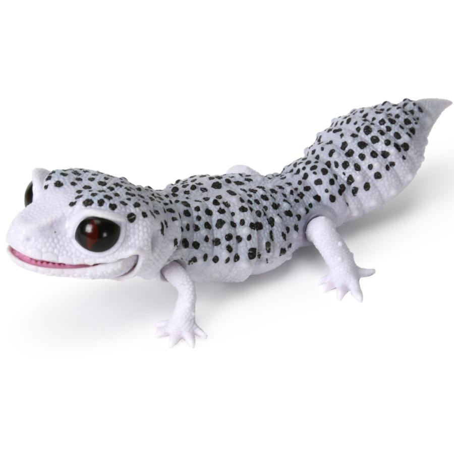 Jual Ikimono Repti Leopard Gecko Gashapon Gacha Bandai dango mushi ...
