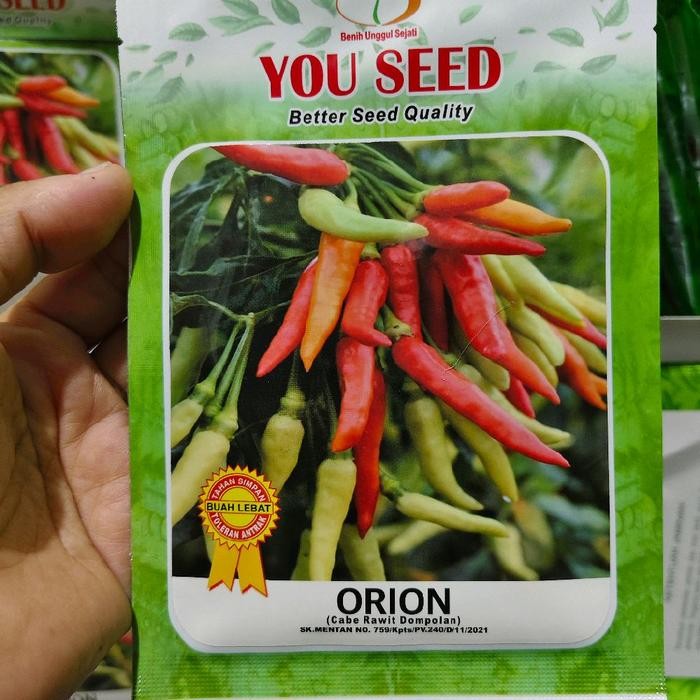 Jual Benih Cabe Orion 10 Gram Cabai Rawit Putih Berdompol Berangkai You ...