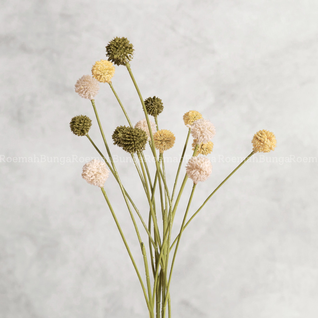 Jual 5 Cabang Billy Button / Craspedia Real Touch Artificial / Bunga ...